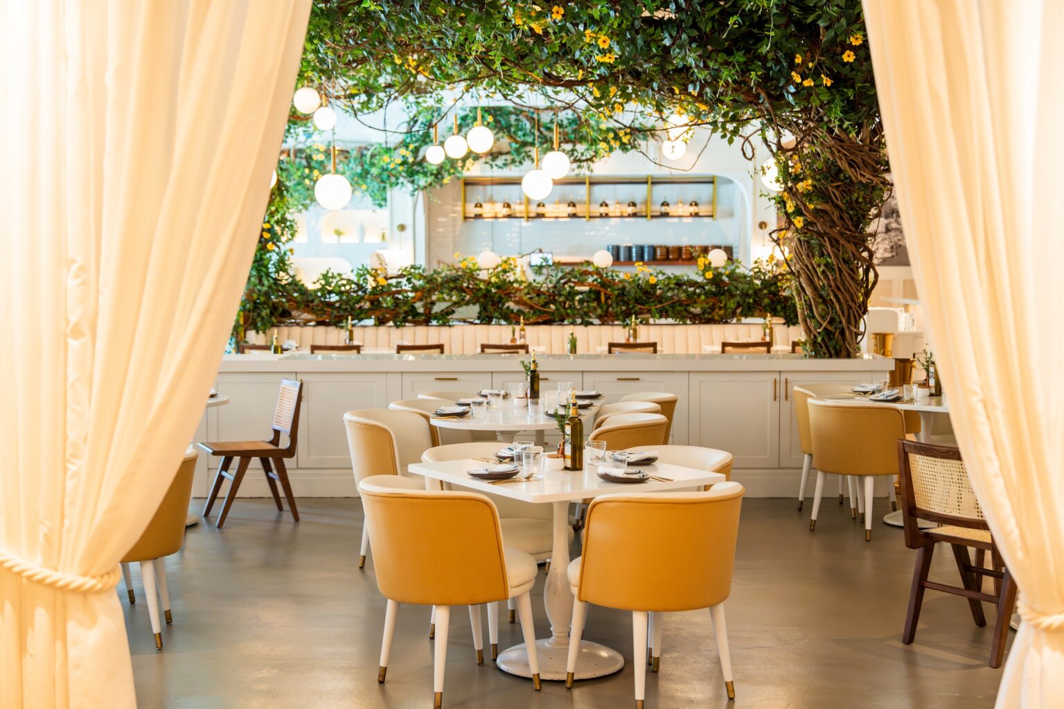 MOTEK Boca Raton: A Mediterranean Culinary Experience